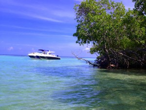 Los Cayos de Morrocoy, Venezuela | Teaching Wanderlust